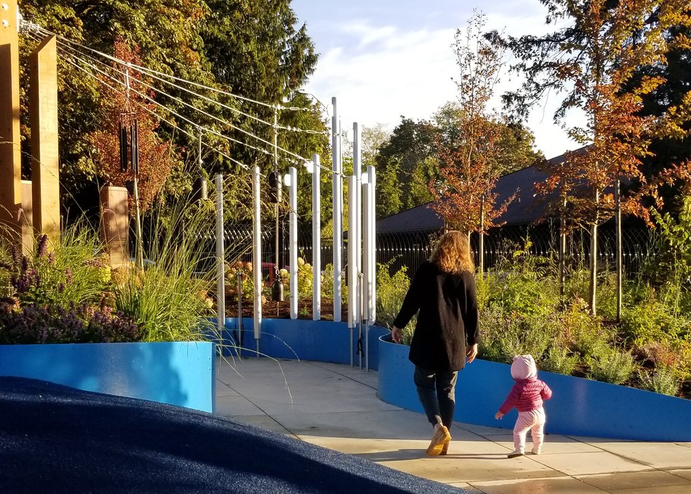 Sensory Garden at Woodland Park in Seattle — Land Morphology