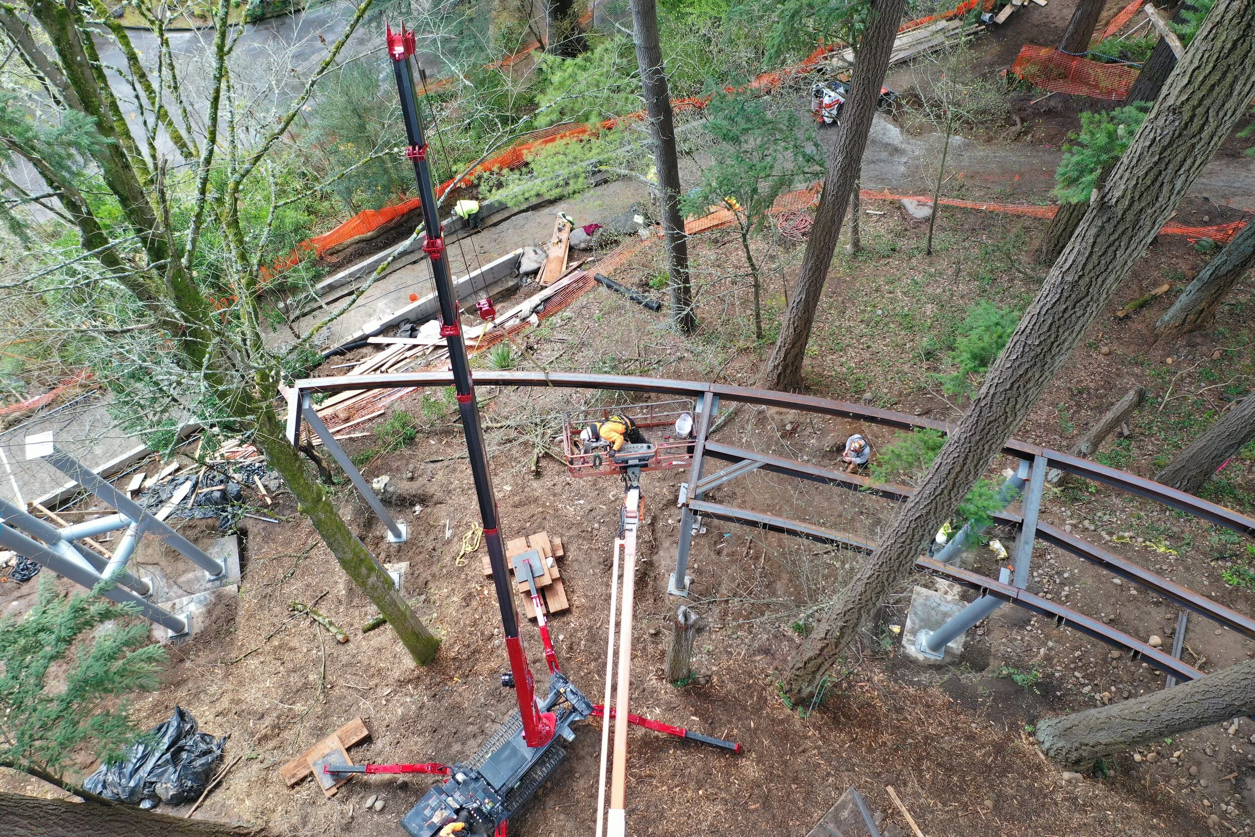 Up In the Trees — Land Morphology