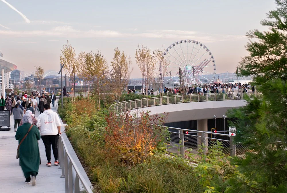 Seattle's Overlook Walk — Land Morphology
