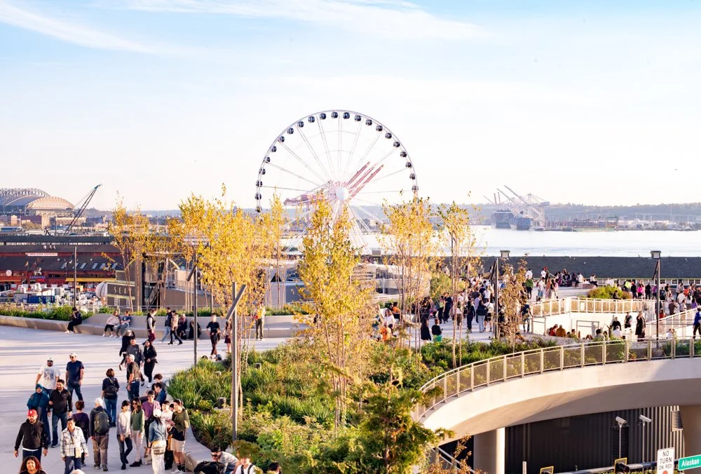 Seattle's Overlook Walk — Land Morphology