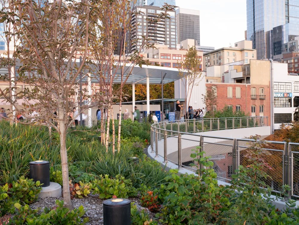 Seattle's Overlook Walk — Land Morphology