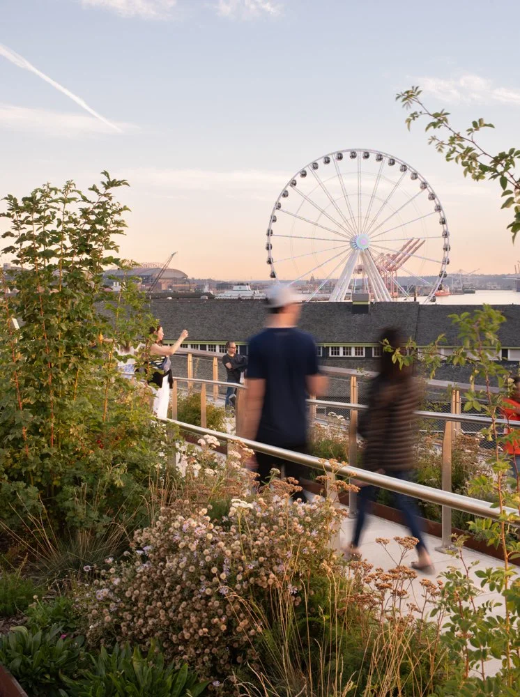 Seattle's Overlook Walk — Land Morphology