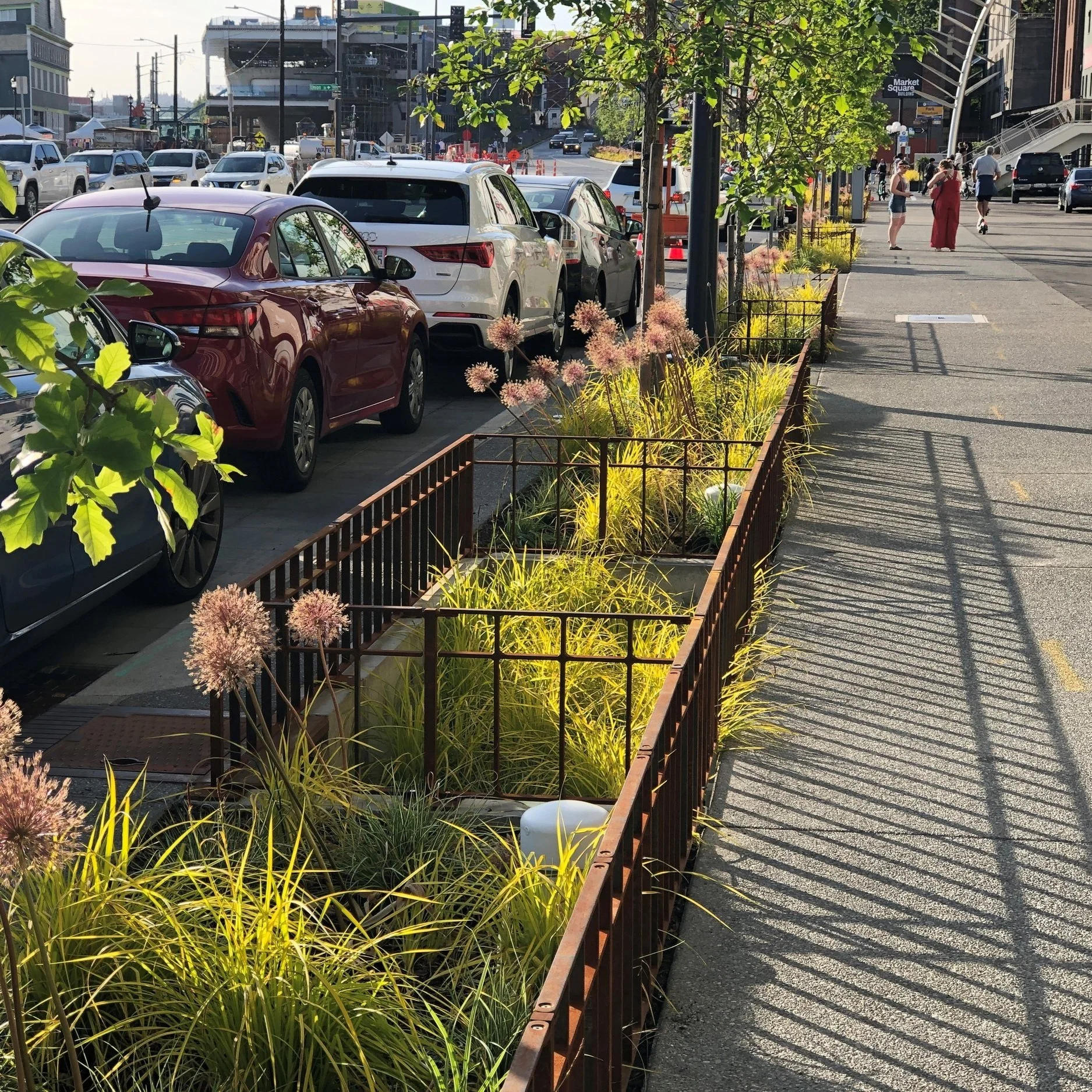 Seattle Waterfront Perennials — Land Morphology