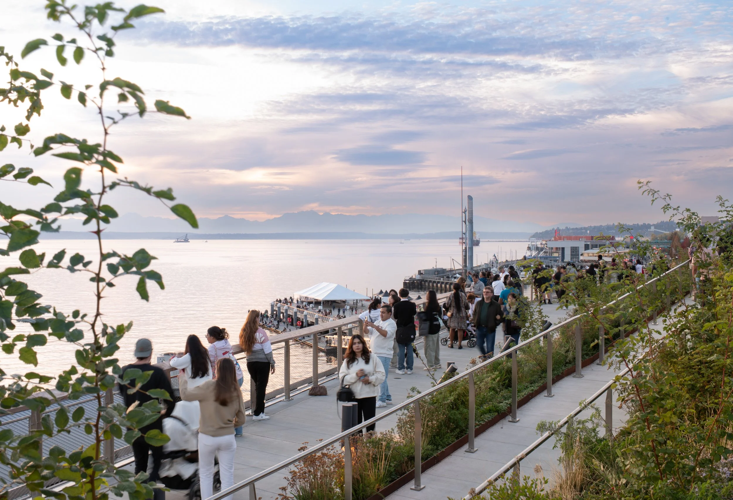 Seattle's Overlook Walk — Land Morphology