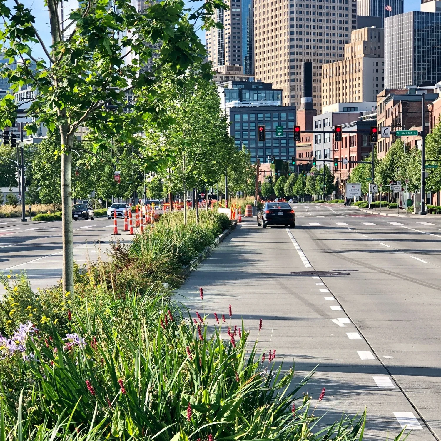 Seattle Waterfront Perennials — Land Morphology