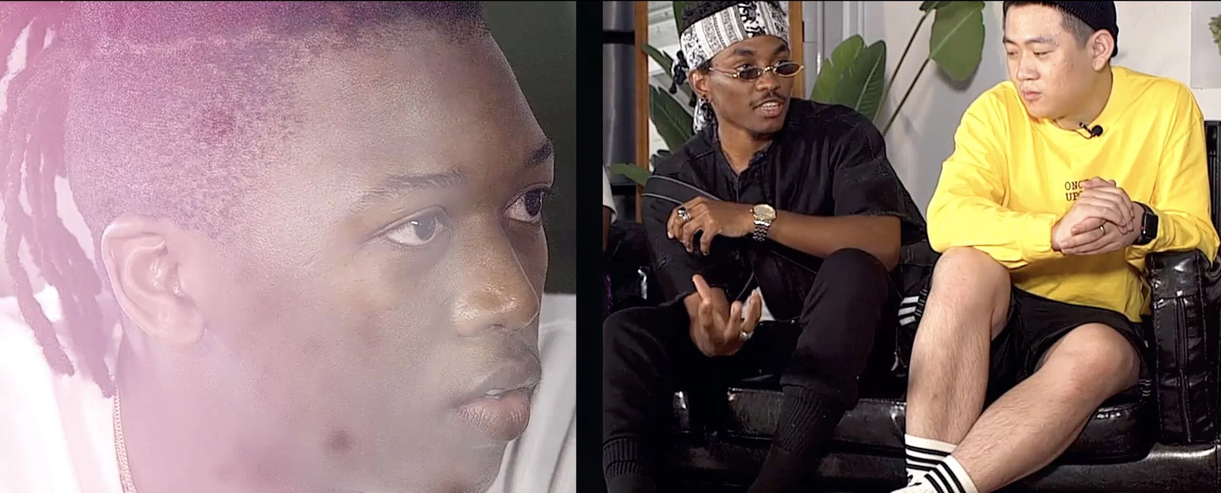 BETACULTURE — NOVA UNIVERSAL