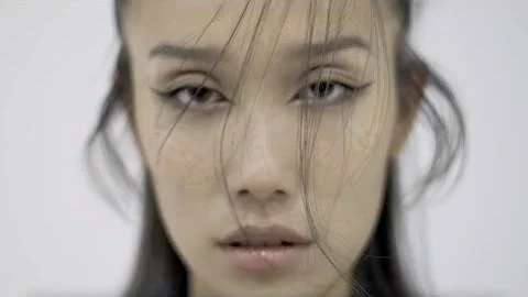 DIMA VESELOV — NOVA UNIVERSAL