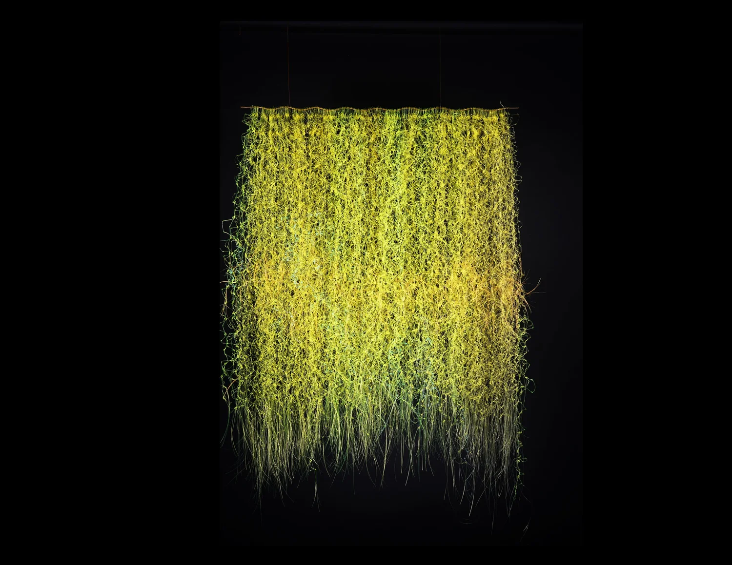 SAPAR CONTEMPORARY ART GALLERY