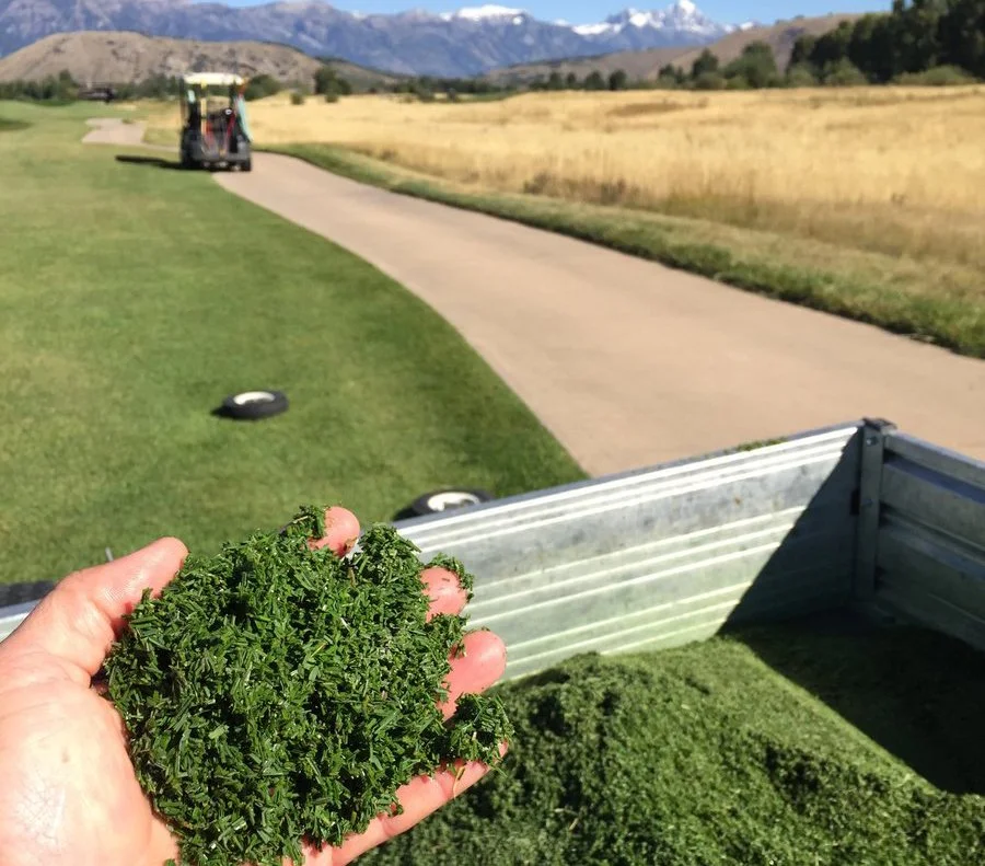 Waste — Greener Golf
