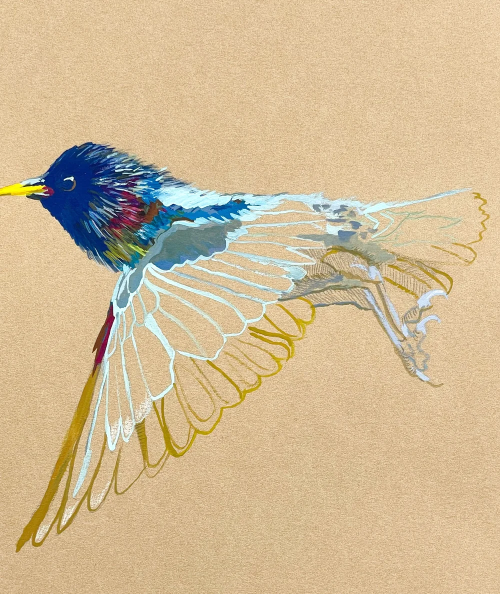 Flying Parrot Painting