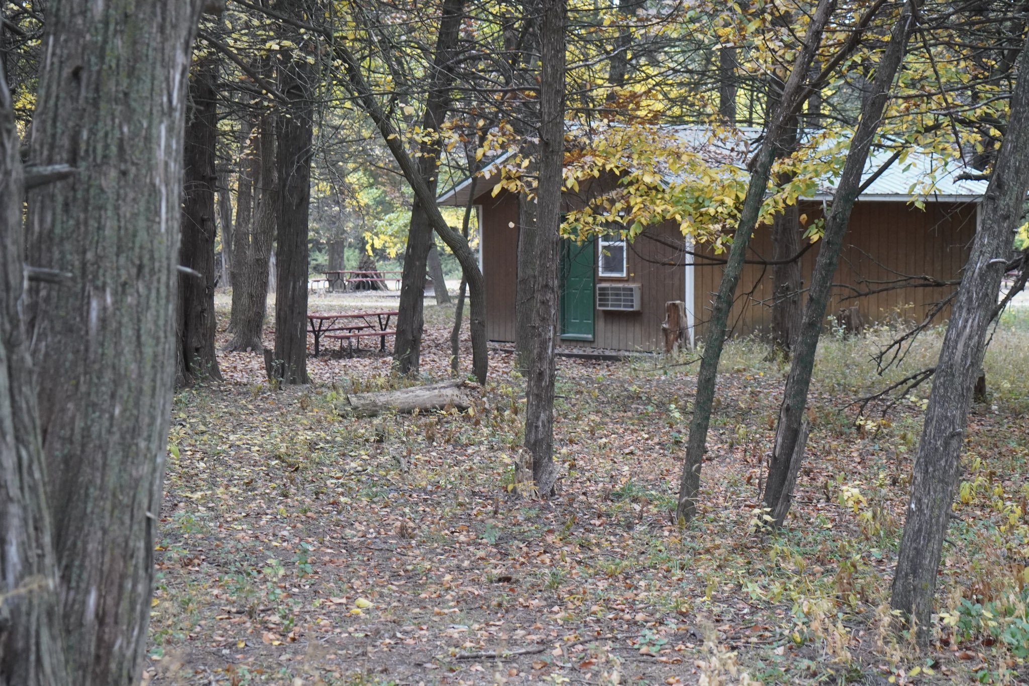Group Rentals — Timberlake Ranch Camps