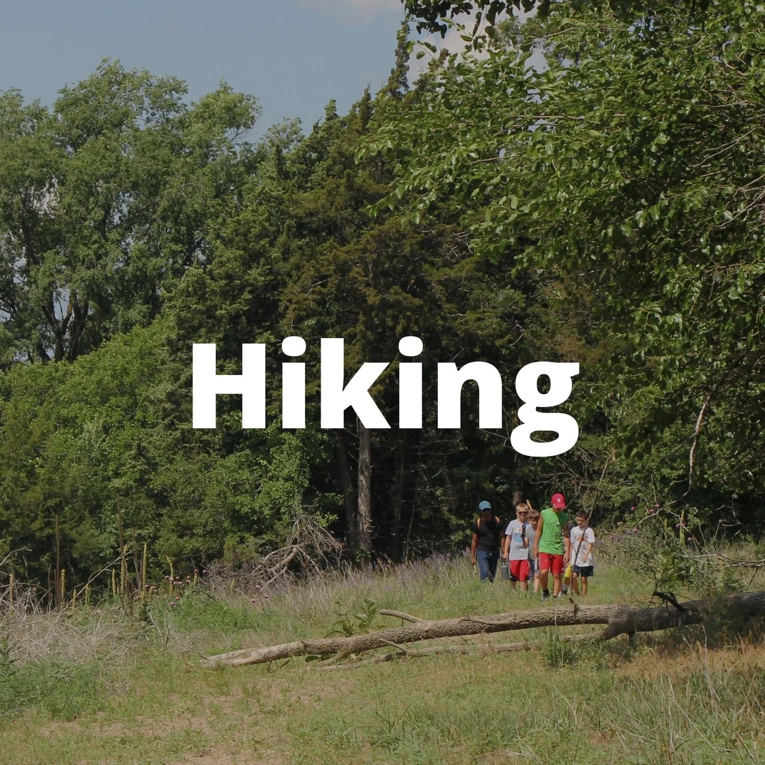 Family Camp — Timberlake Ranch Camps