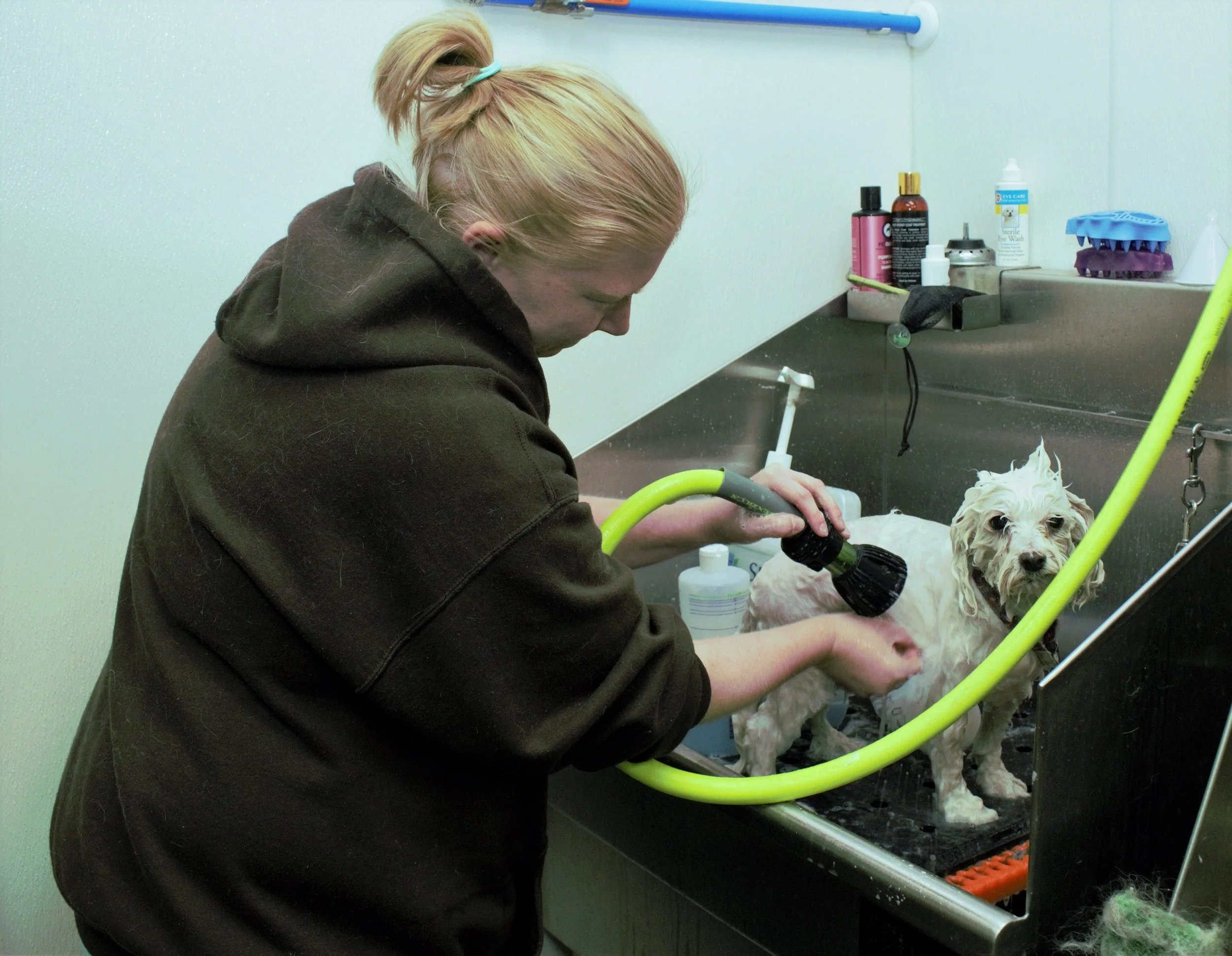 Grooming — See Spot Run on 21