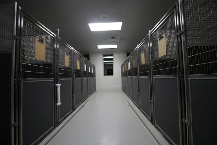 Dog Boarding Kennel Design