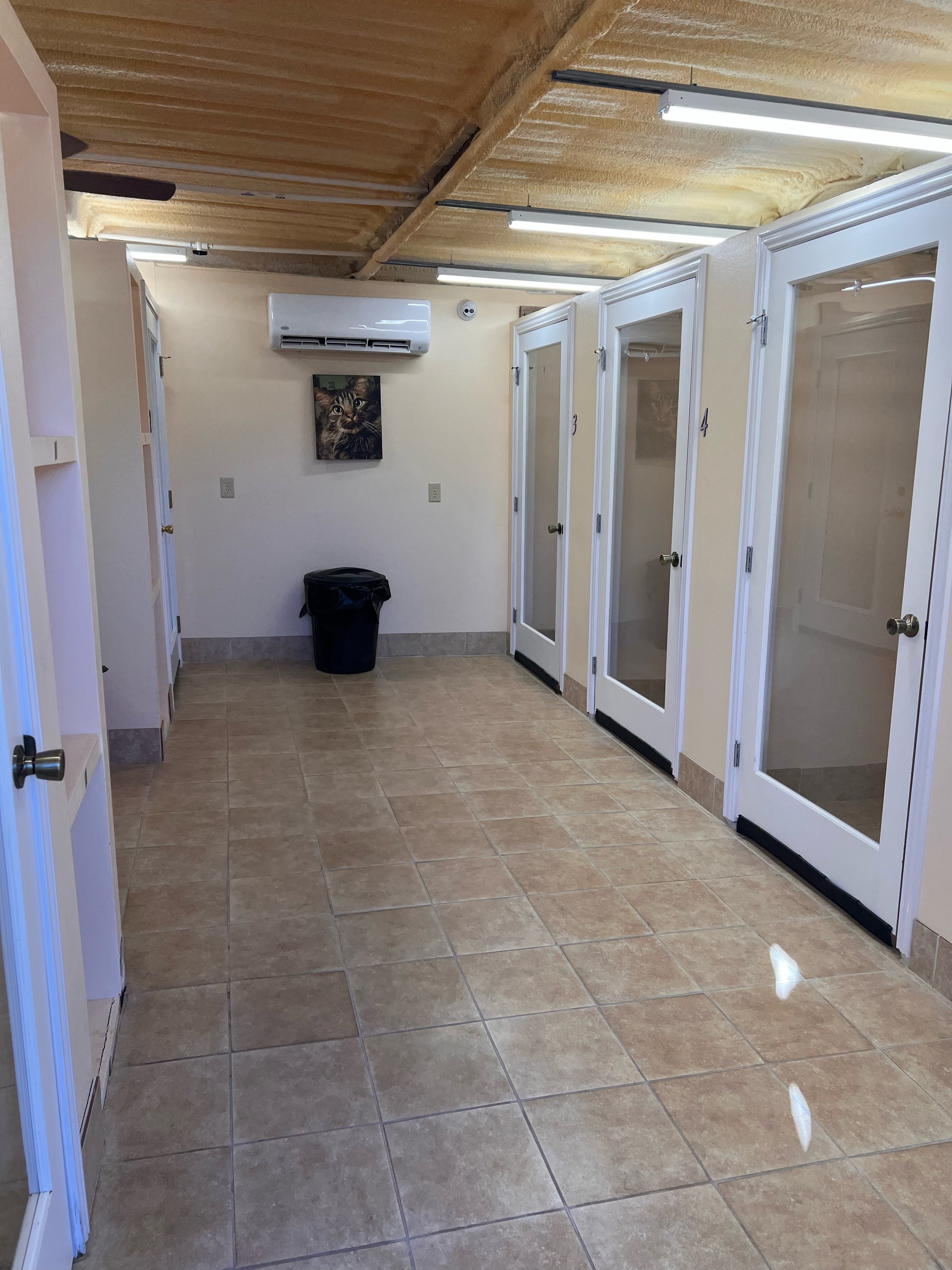 Cat Boarding — Suite Life Pet Resort & Spa