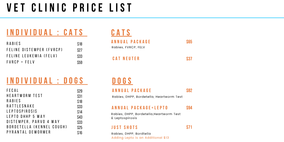 Low Cost Vet Clinic — Suite Life Pet Resort & Spa