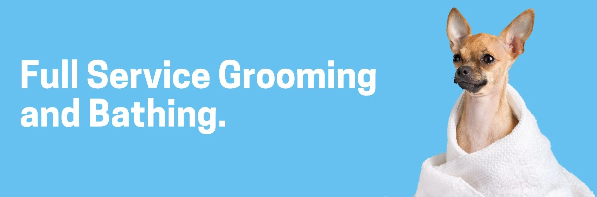 Grooming — Suite Life Pet Resort & Spa