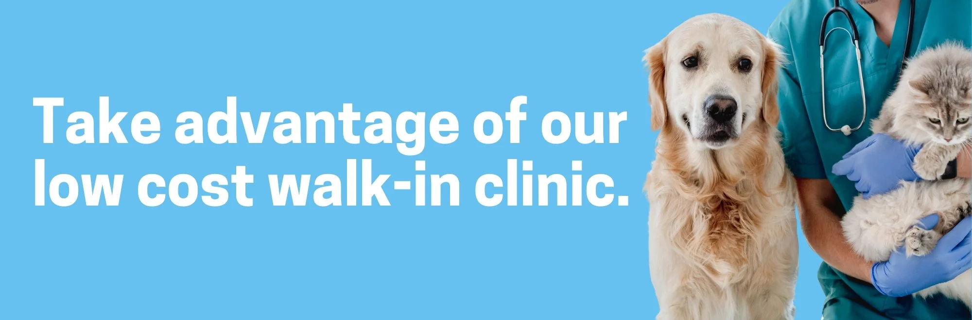 Low Cost Vet Clinic — Suite Life Pet Resort & Spa