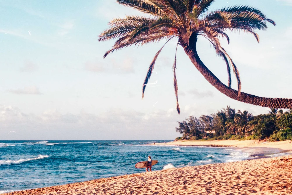 10 Essential Surf Photography Tips for Beginners | Karl Mackie Prints ...