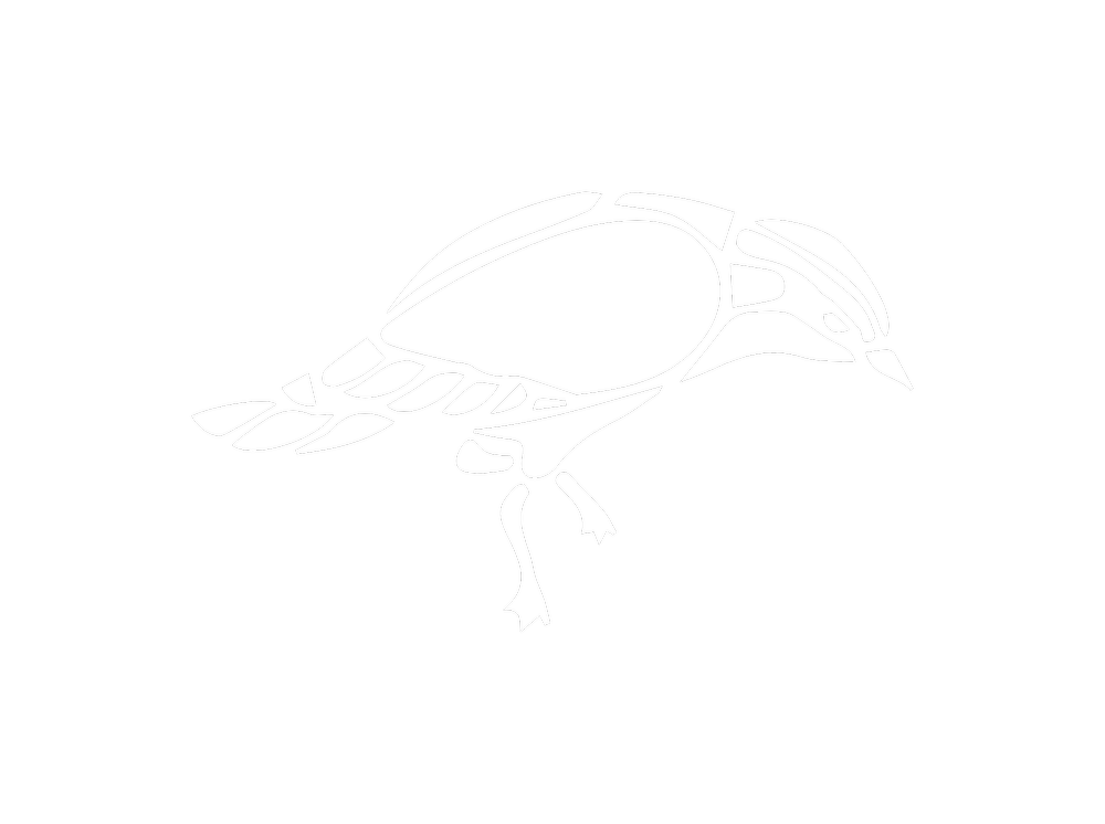 Teaching & Workshops — Cheviron Lab @ THE UNIVERSITY OF MONTANA