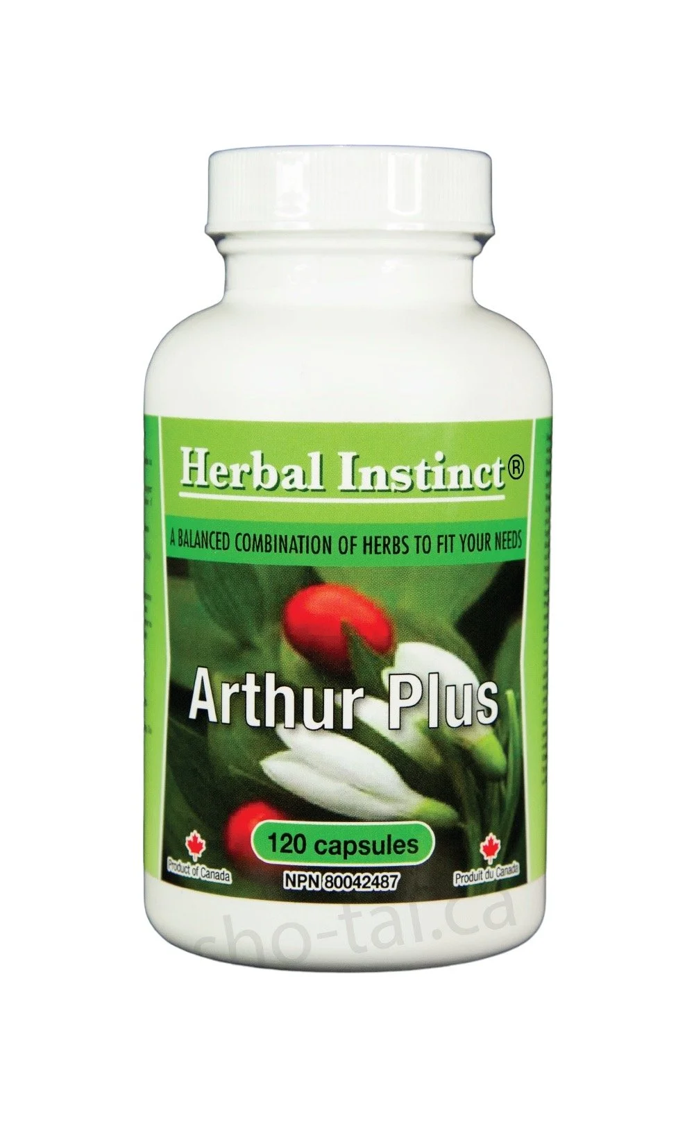 Shop — Health Trek Wellness