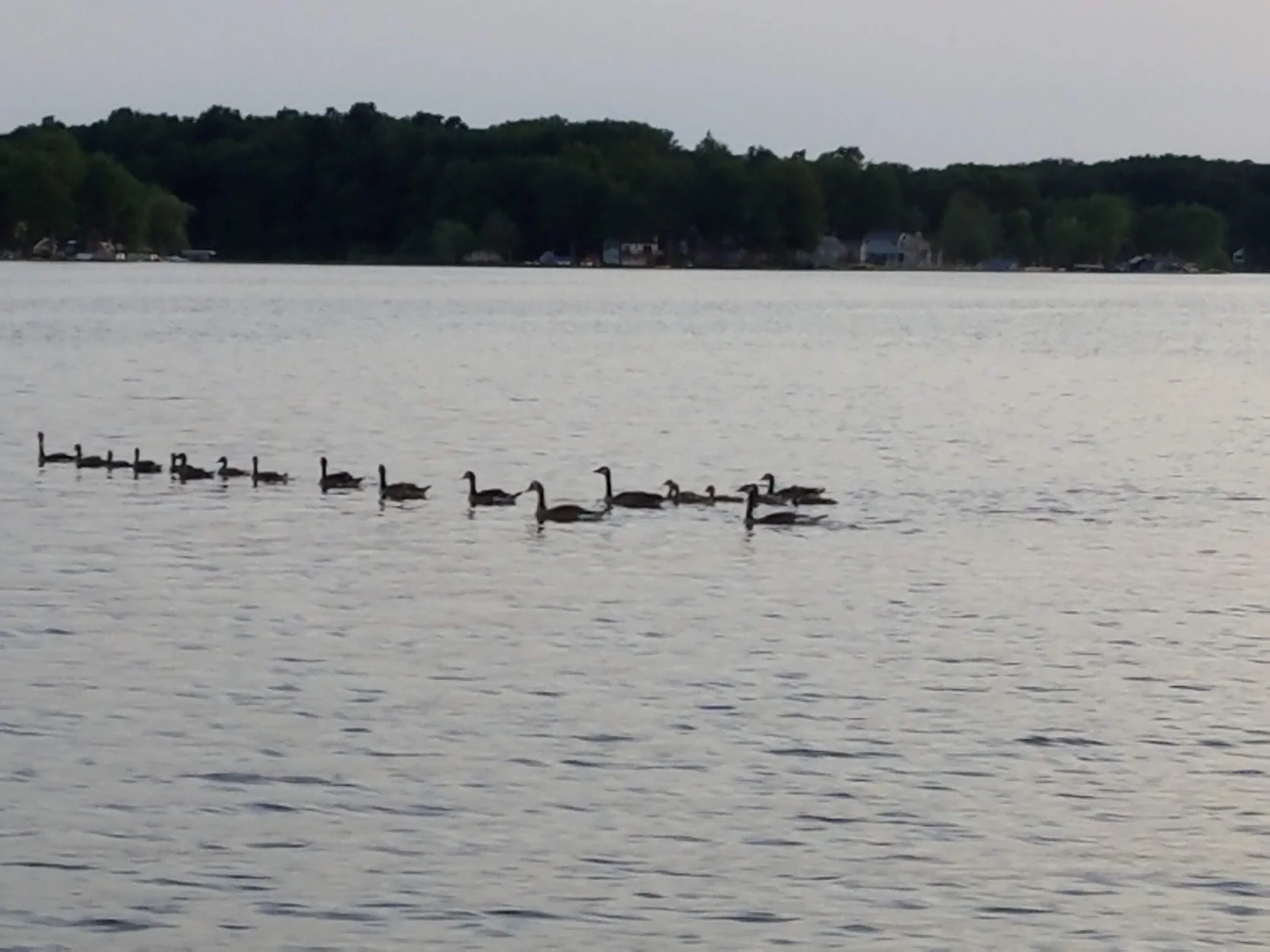 DELTON CROOKED LAKE ASSOCIATION