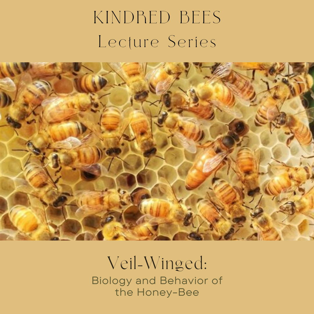 Kindred Bees Lectures — Honey Bee Wild