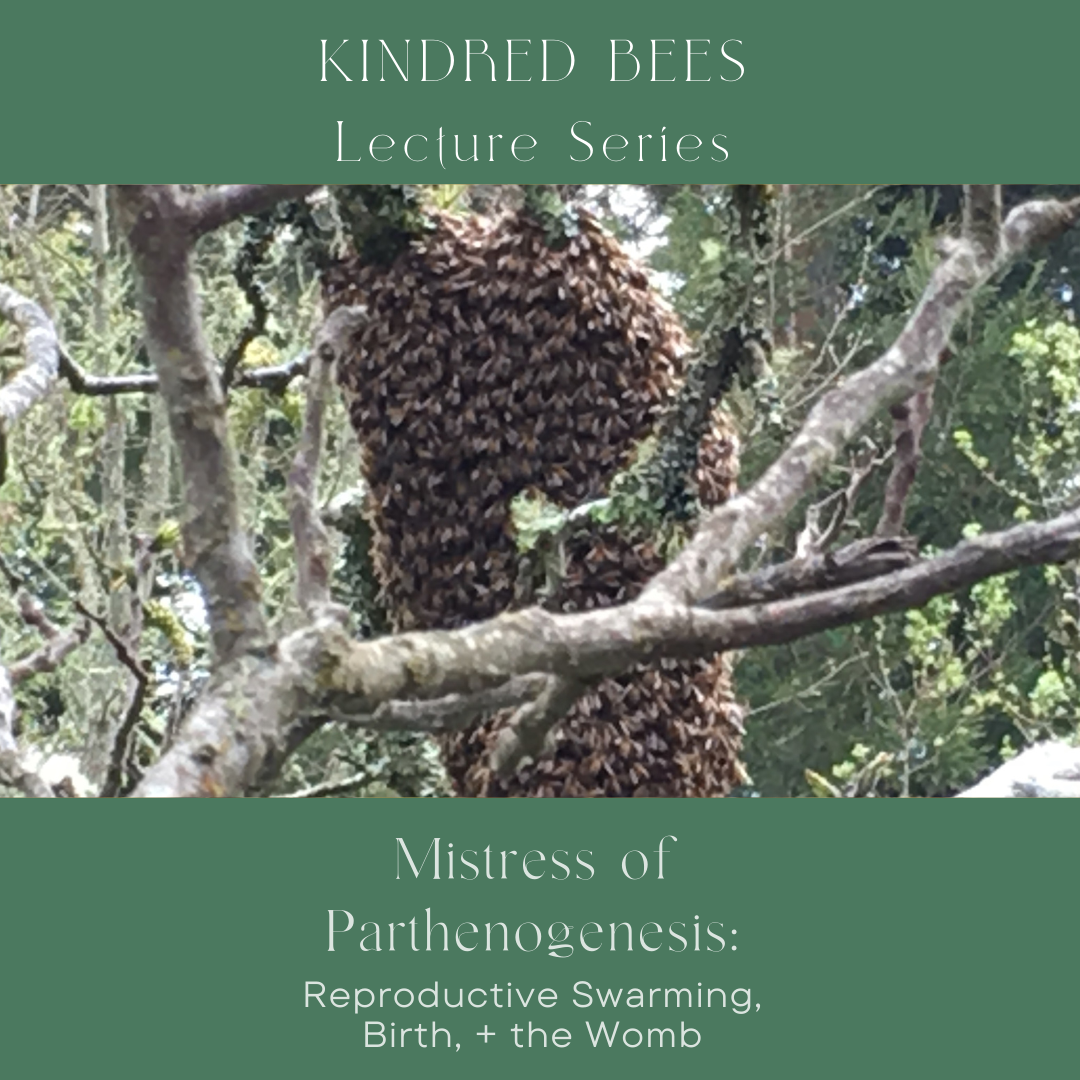 Parthenogenesis In Bees
