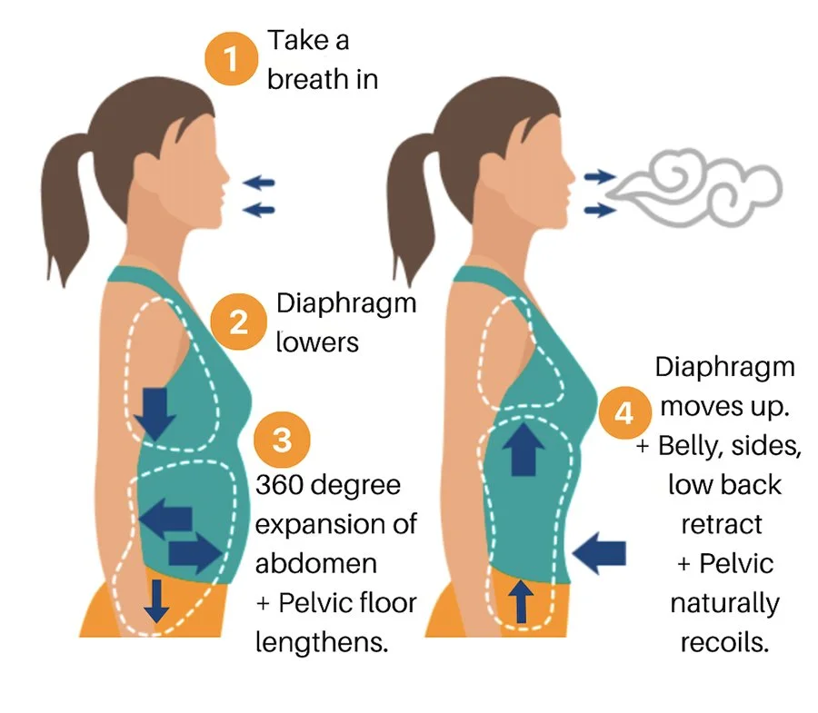 Laugh, cough & sneeze, but don’t pee! [illustrated] — OUR FIT FAMILY LIFE