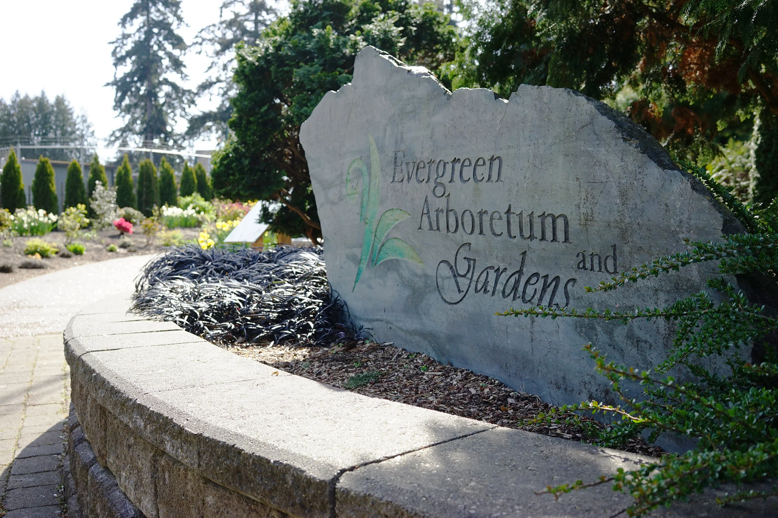 Everett's Secret Garden: the Evergreen Arboretum — Live in Everett