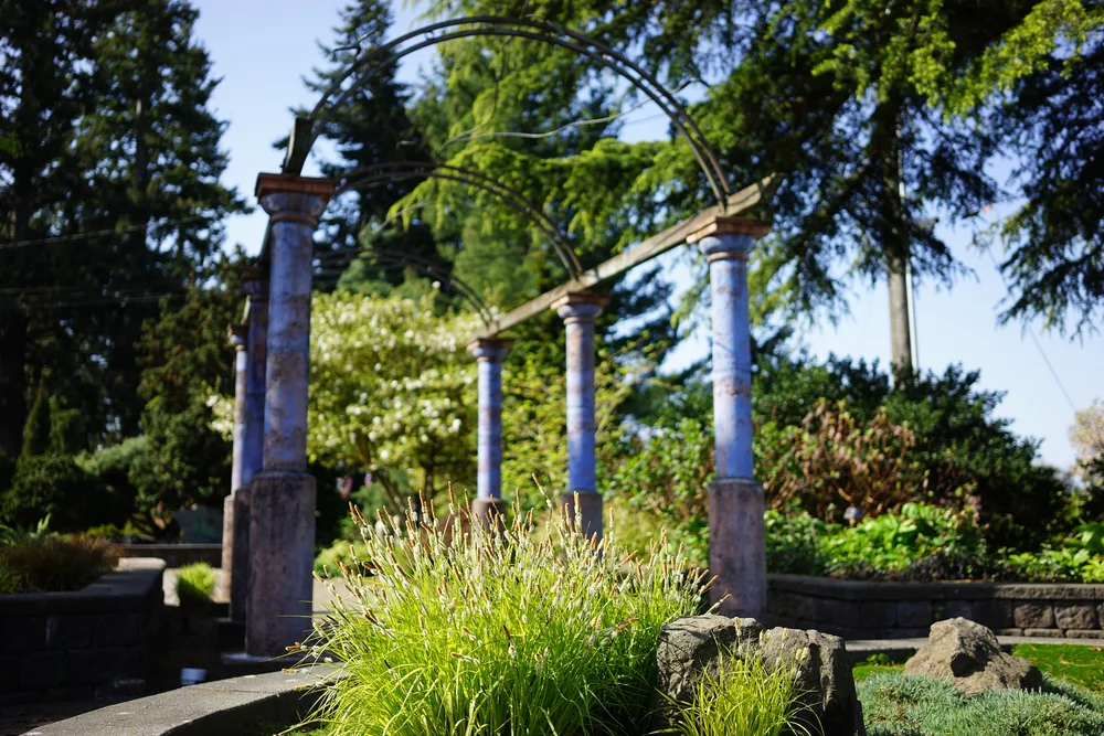 Everett's Secret Garden: the Evergreen Arboretum — Live in Everett