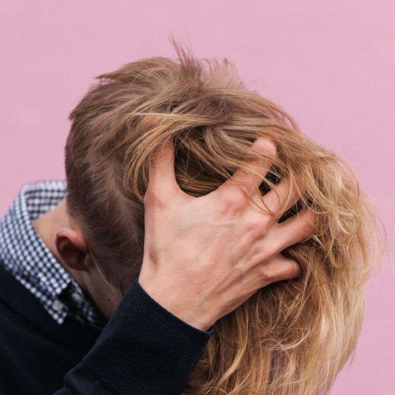 EVVY Award Winners — Live in Everett