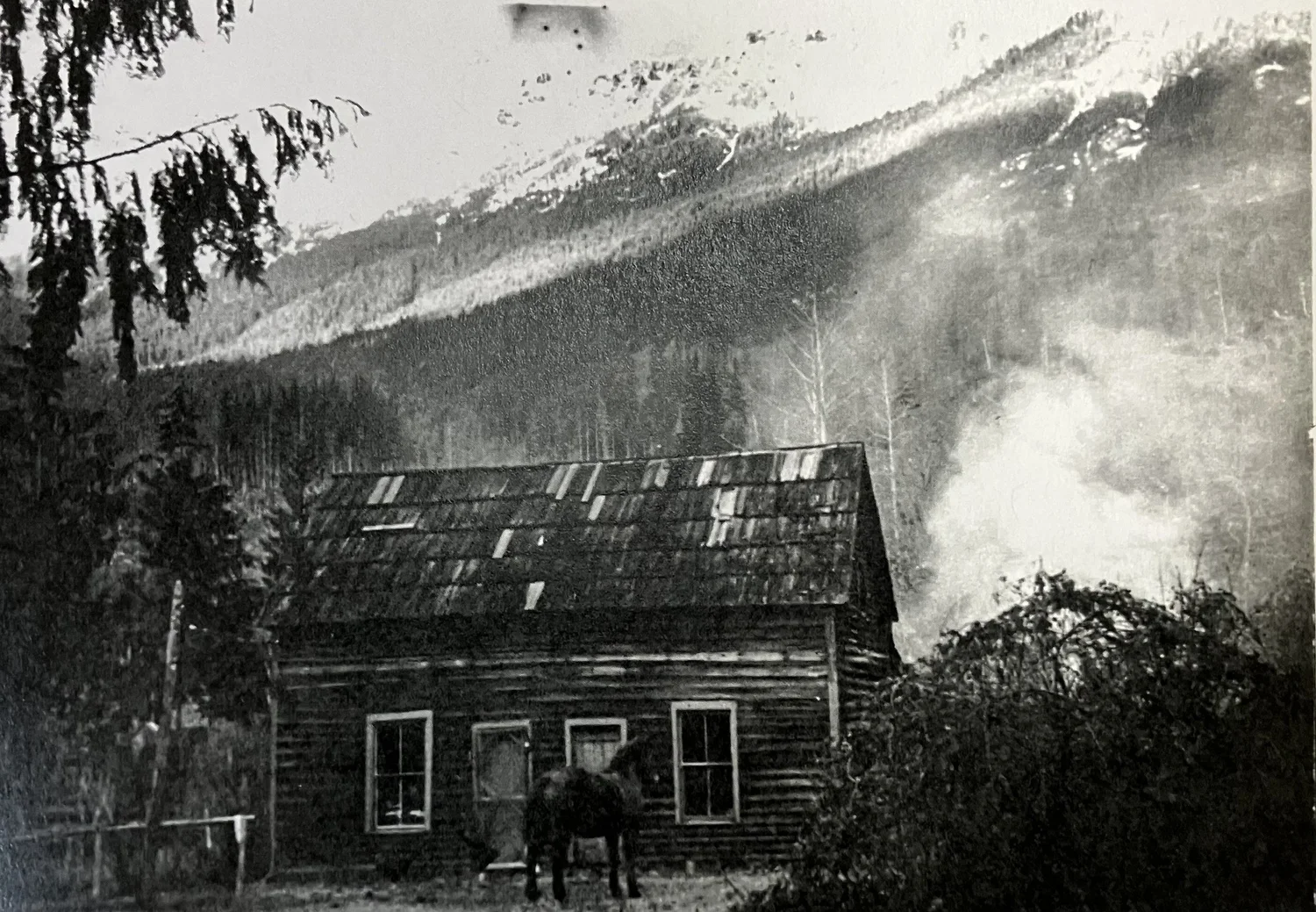 On Unsteady Heights: The Life of Edith Bedal — Live in Everett