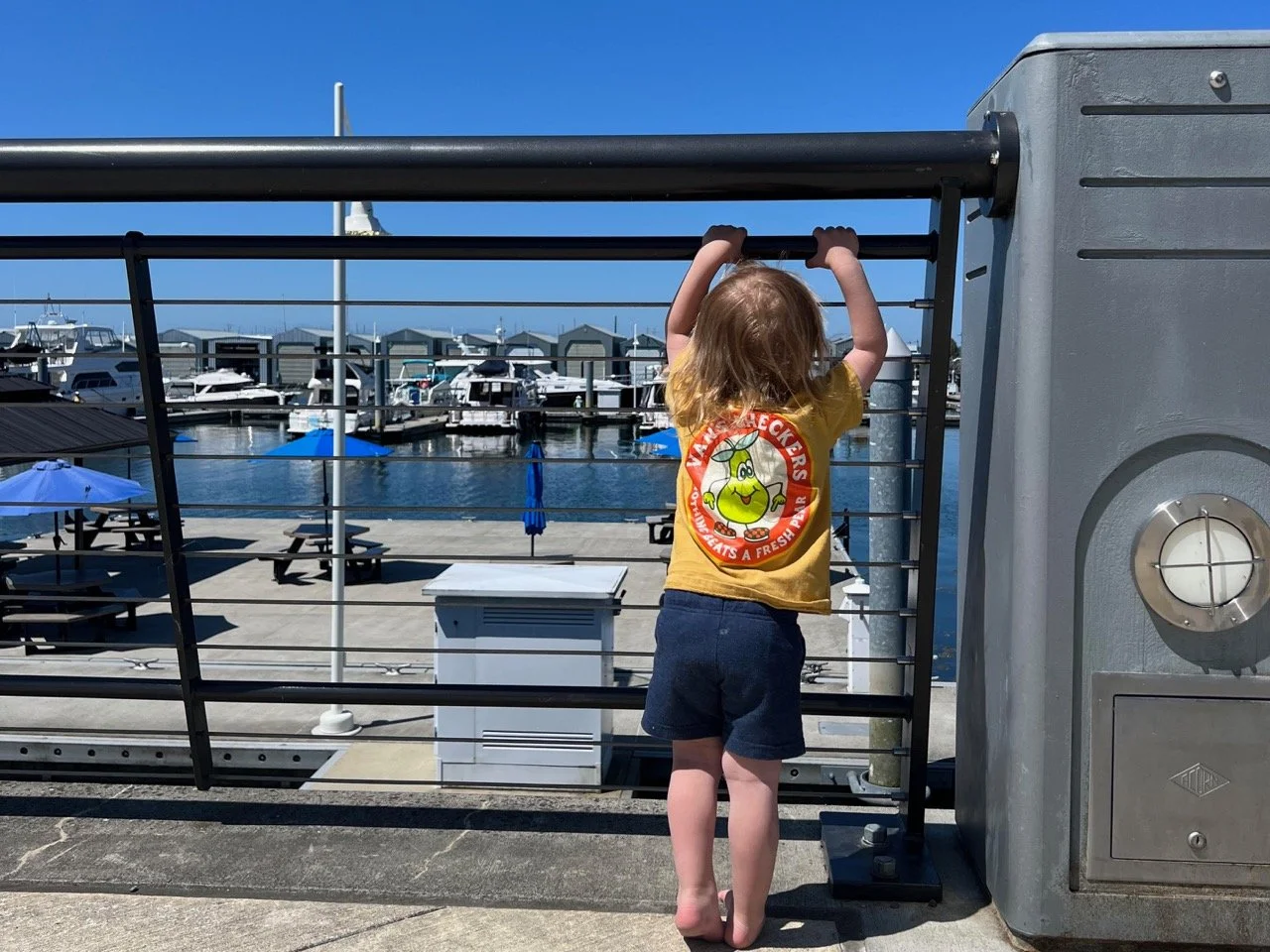 How to Spend the Day at the Everett Waterfront (with kids!) — Live in ...