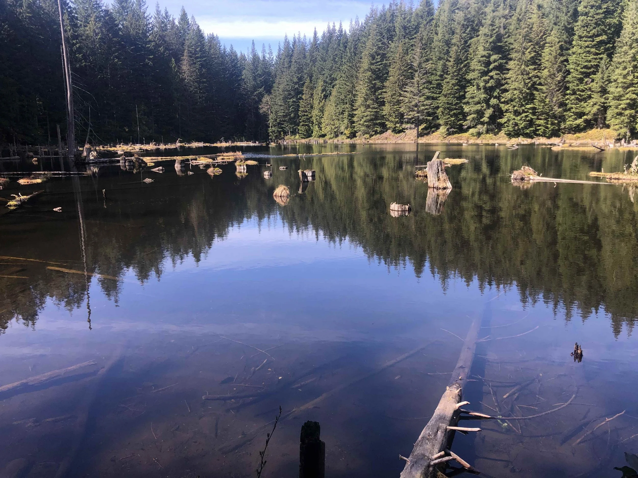 Worth the Hike: Blanchard Trail System — Live in Everett