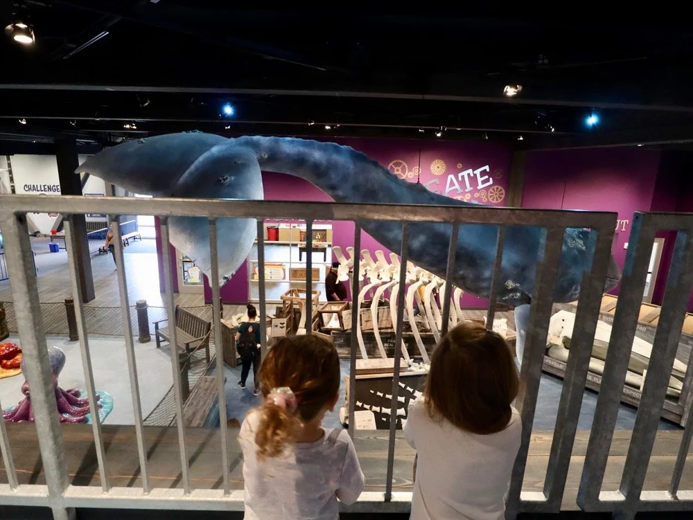Going Big: Imagine Children’s Museum Doubles in Size — Live in Everett