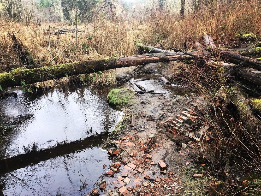 Worth the Hike: Old Robe Trail — Live in Everett