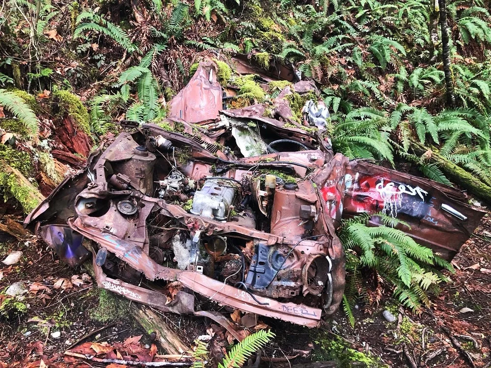 Worth the Hike: Old Robe Trail — Live in Everett