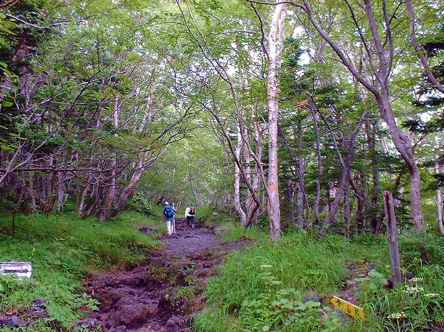 Mt. Fuji Forest Climb — 2-Day Subashiri Trail Private Tour | Fujisan ...