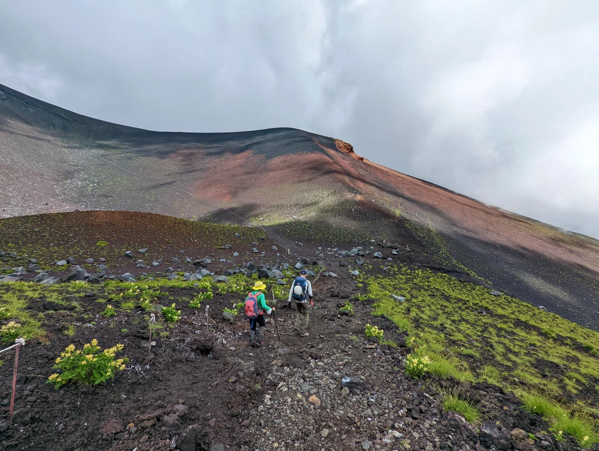 Great Hoei Eruption Guided Hiking Tour — Fujisan Curator