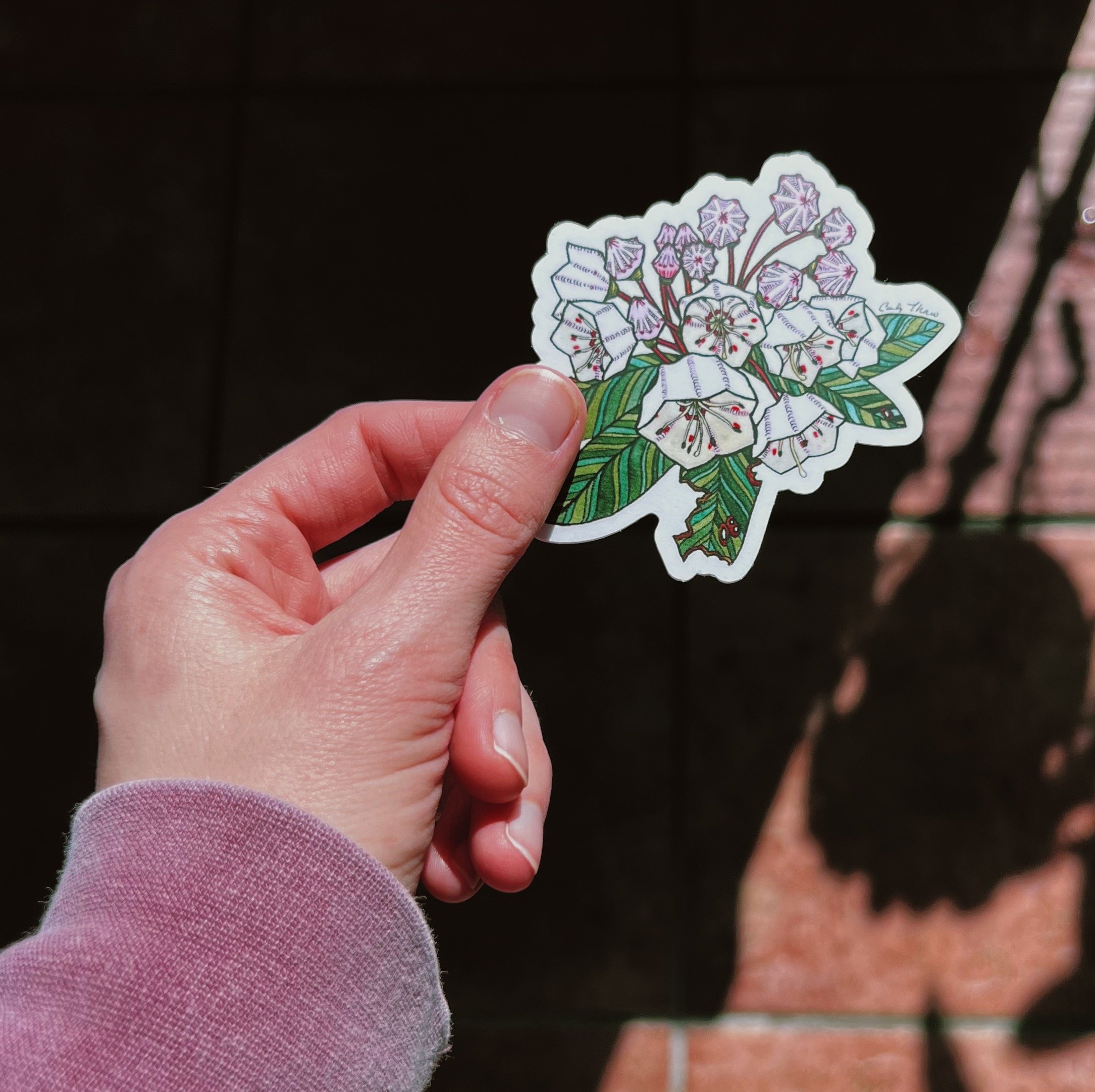 Merch — Carly Thaw