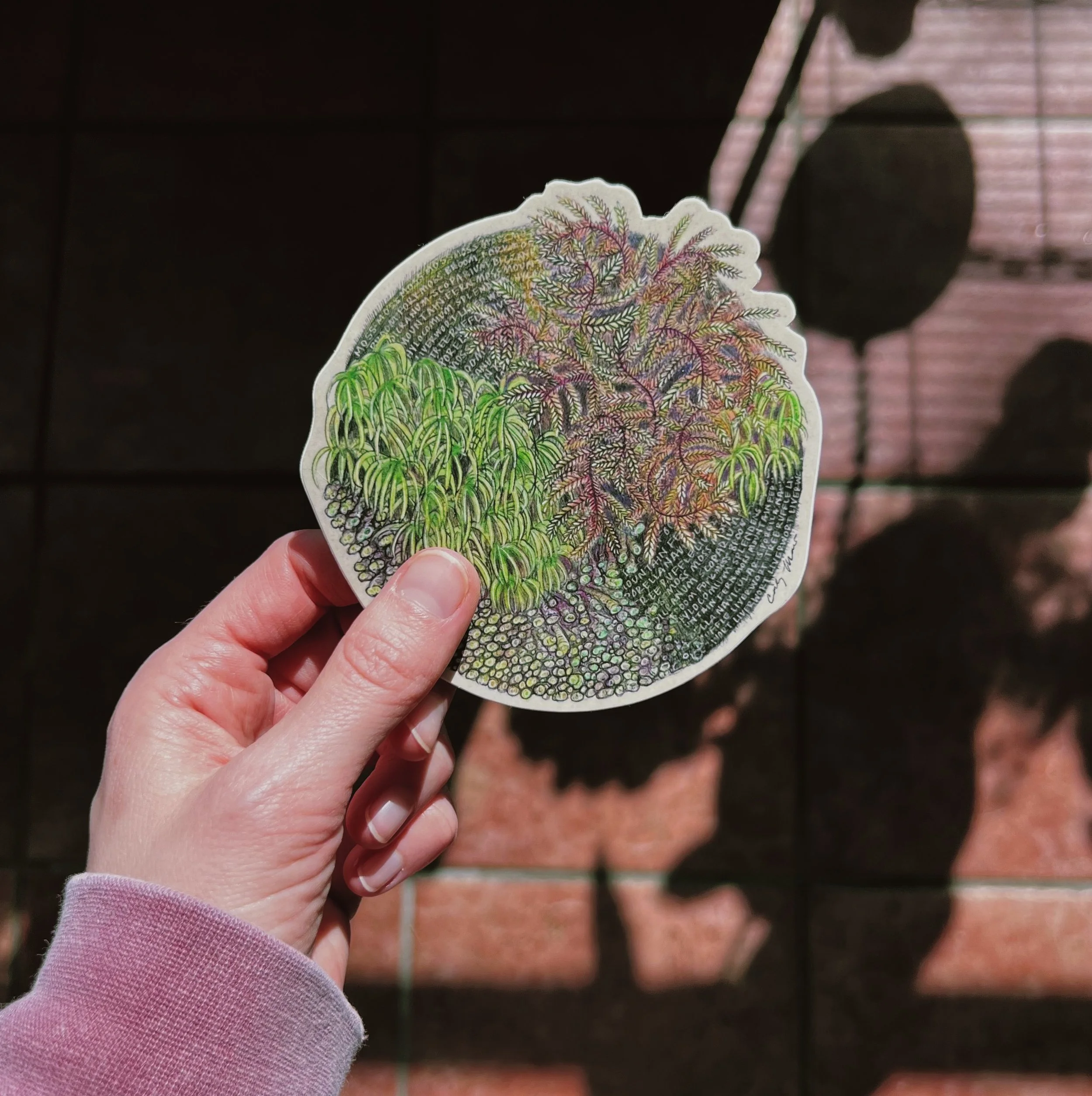 Merch — Carly Thaw