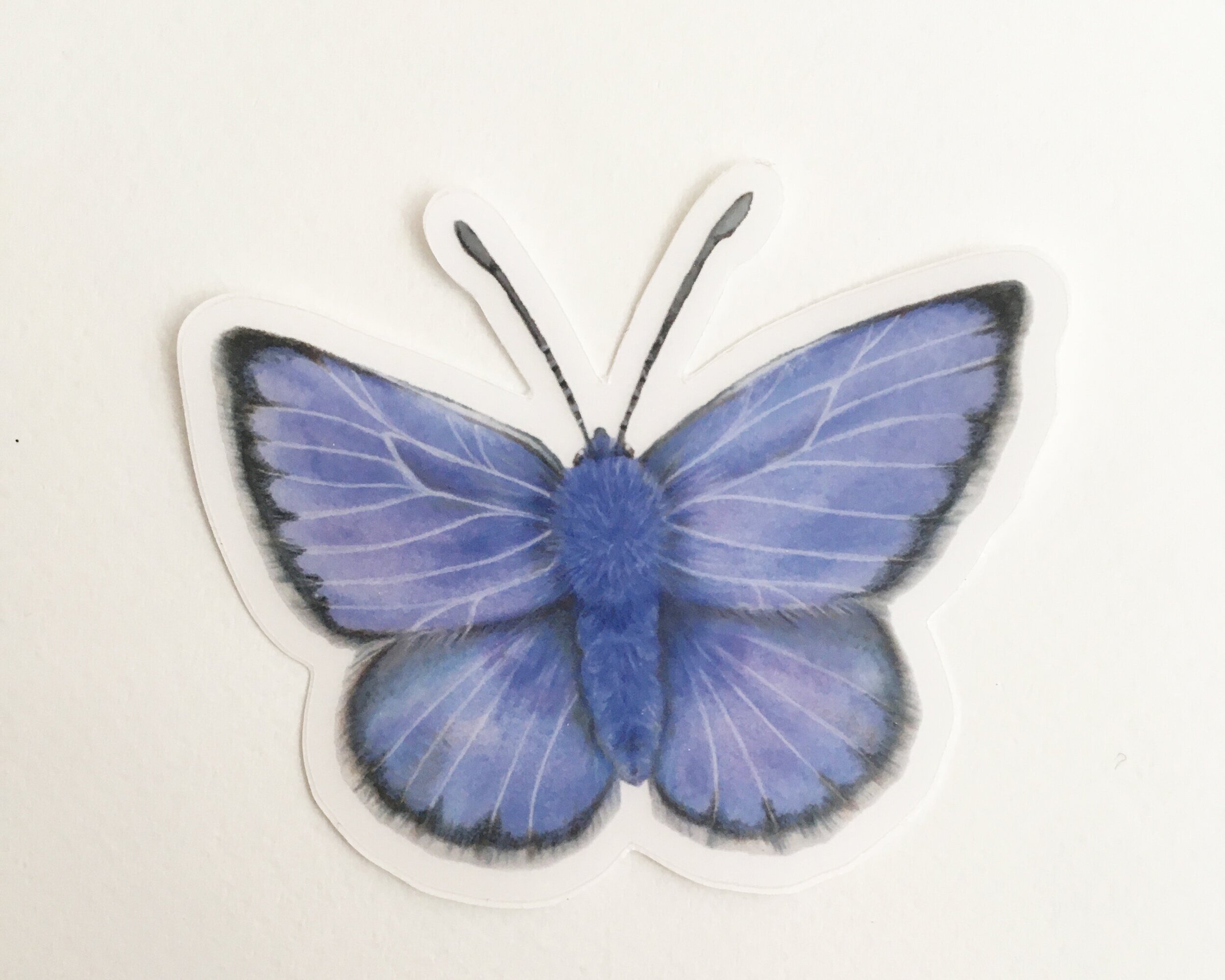 Stickers, Labels & Tags Stickers Palos Verdes Blue Butterfly etna.com.pe