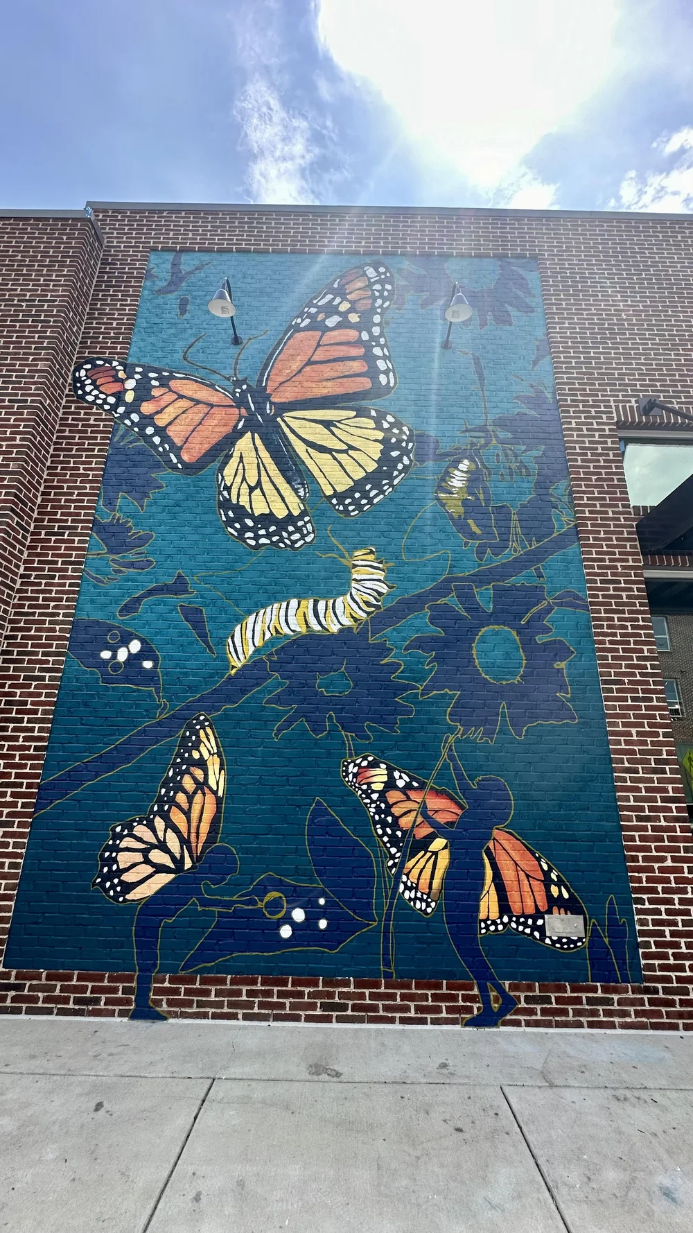 murals & more — Ann Moeller