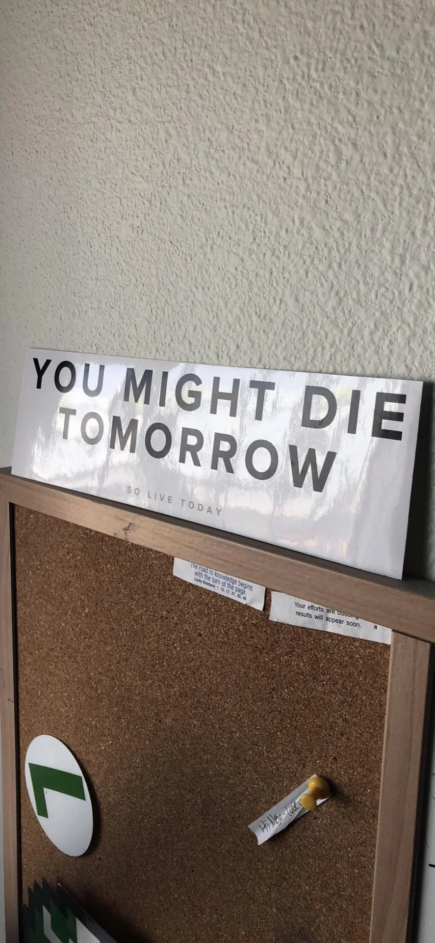 YOU MIGHT DIE TOMORROW