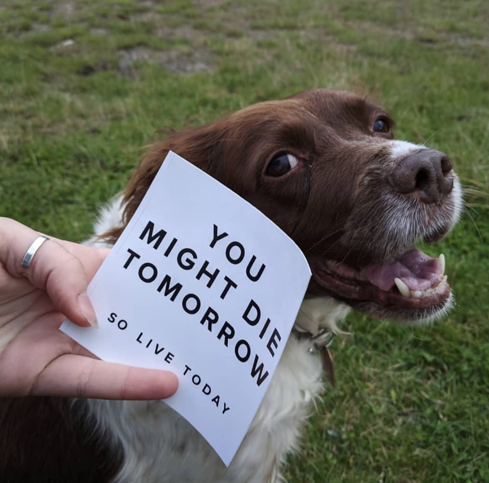 YOU MIGHT DIE TOMORROW