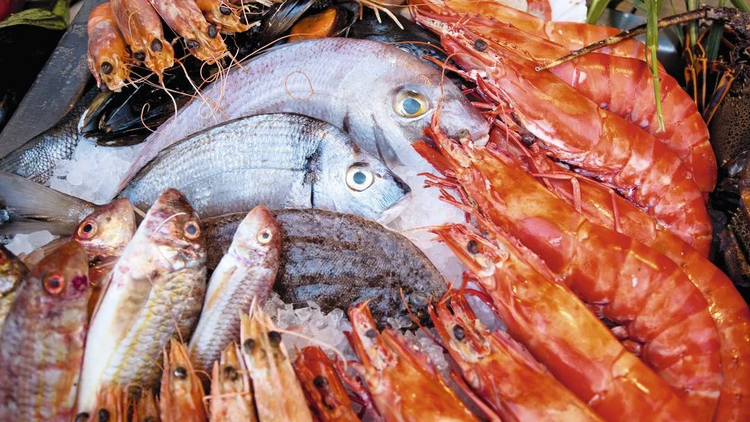 Yustan Seafood: Live Fresh Chilled and frozen Somali Seafood ...