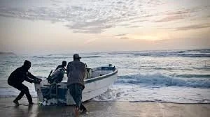 Yustan Seafood: Live Fresh Chilled and frozen Somali Seafood ...