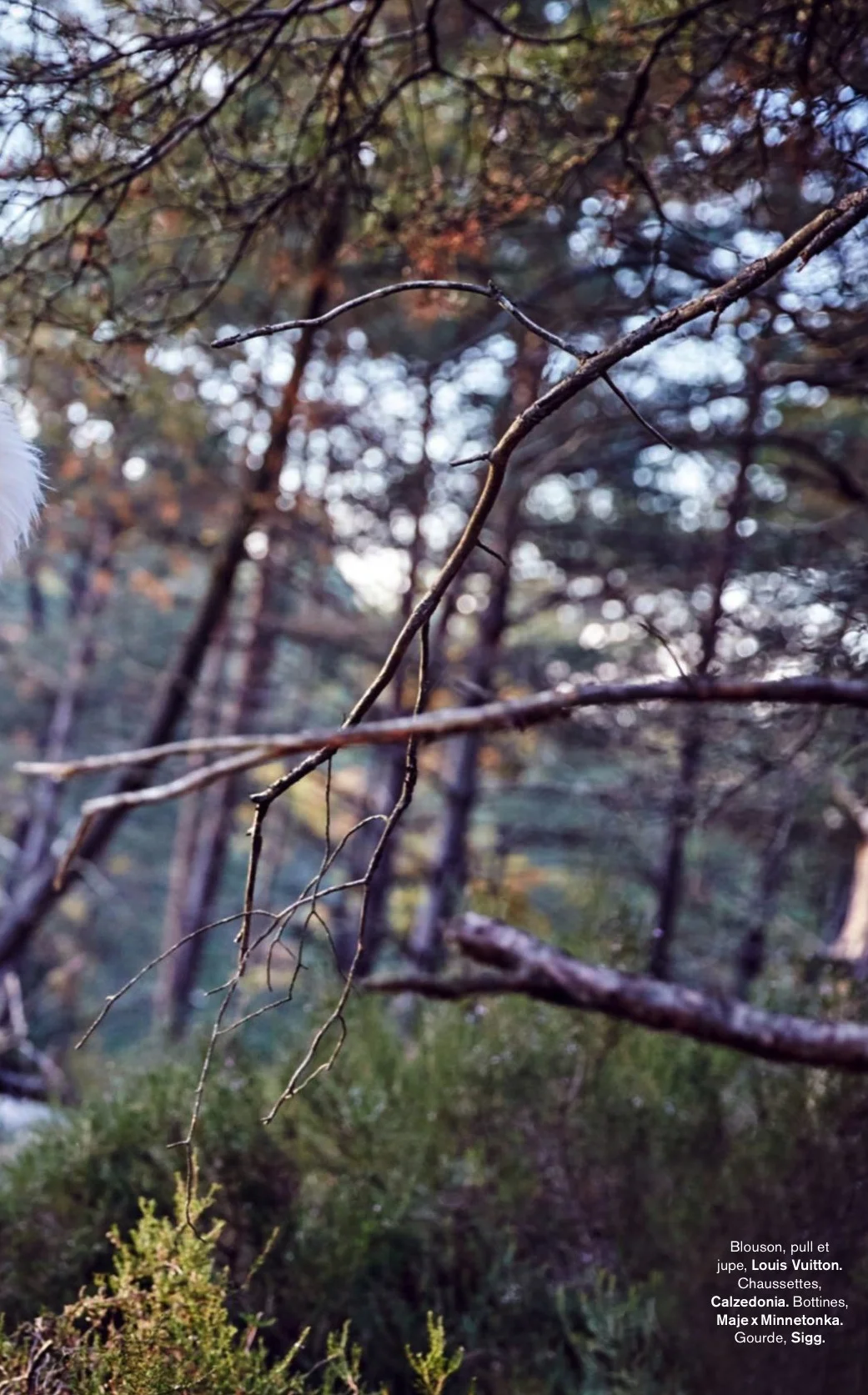 Valentine Bouquet Is A Nature-Loving 'Gone Girl', Lensed By Heather ...