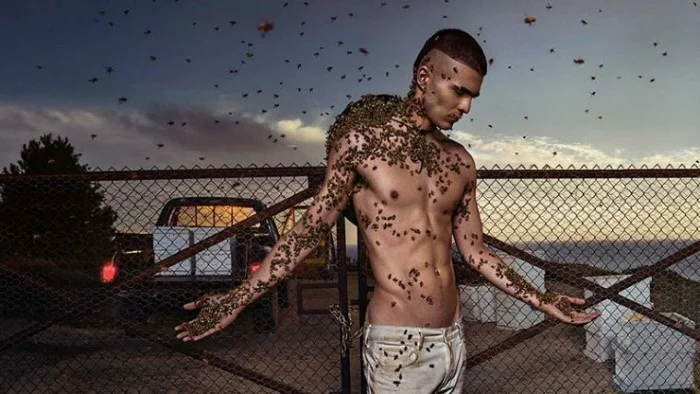 Steven Klein Flashes Spring 2017 Equinox 'Commit To Something' Ad Campaign — Anne of Carversville